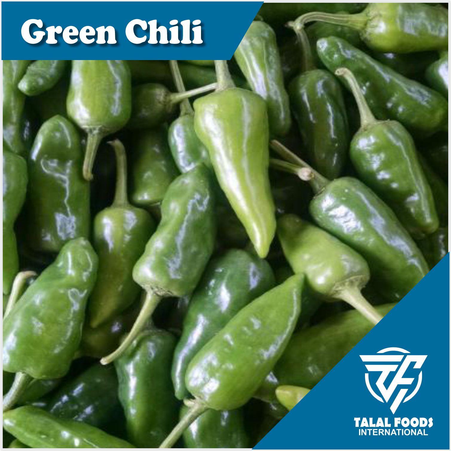 Talal Foods | International